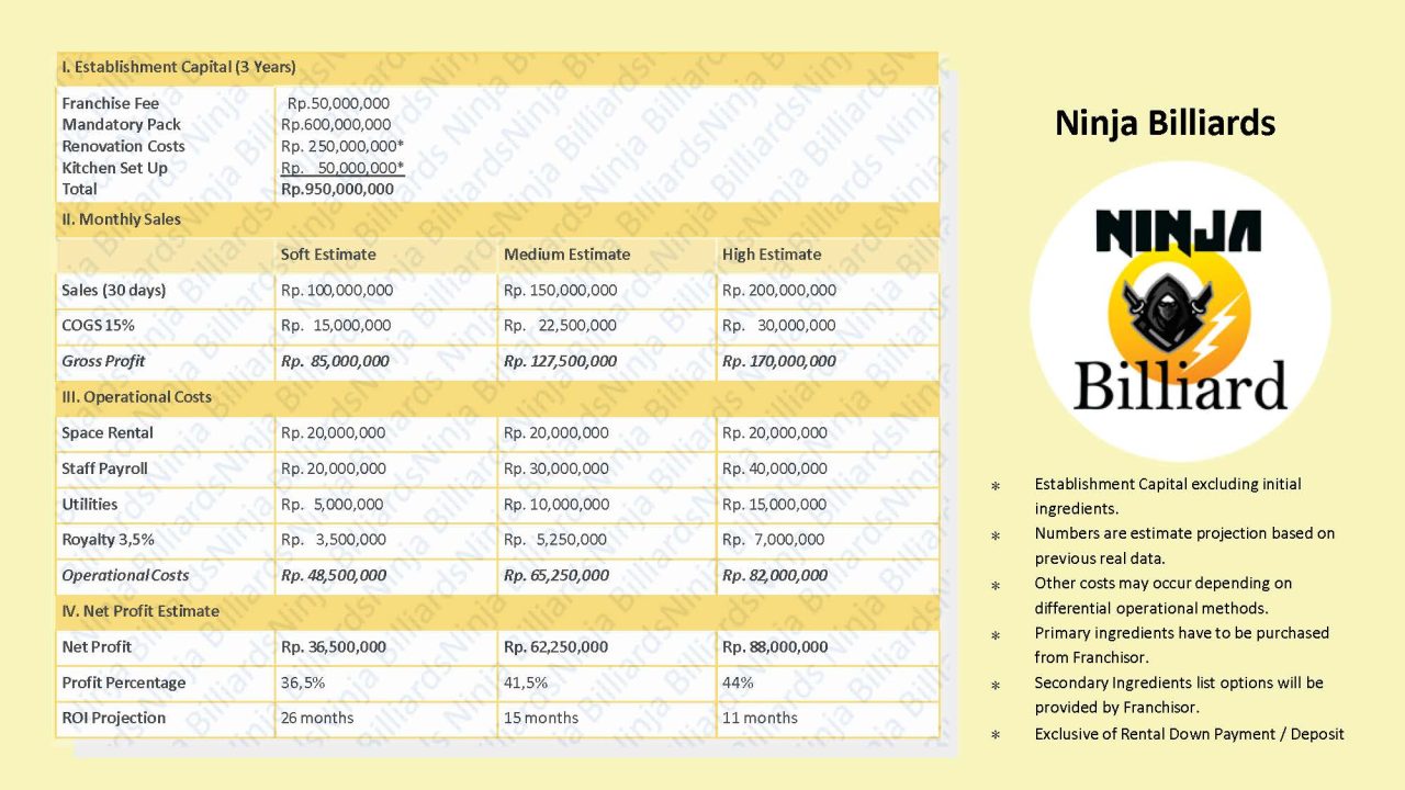 Ninja Billiards | Franchise Opportunity Your Business